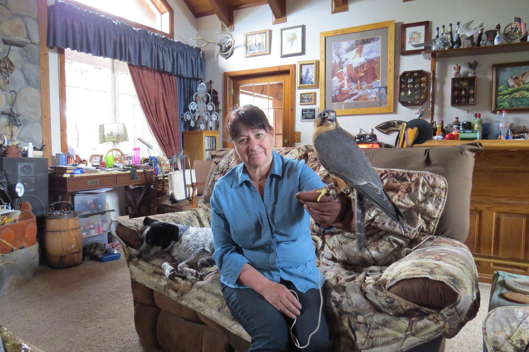 The Falconer | Natalie Van Hoozer